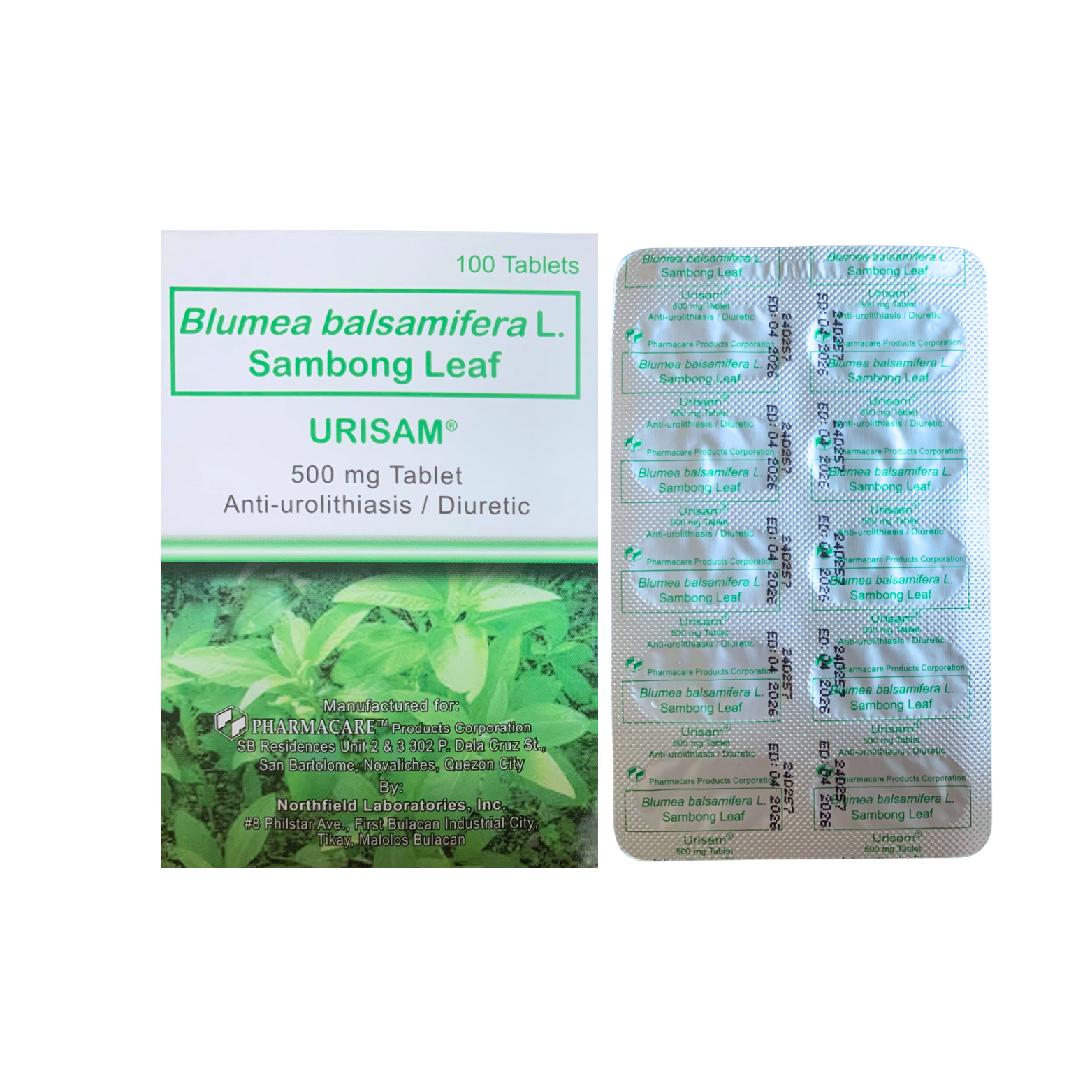 Sambong 500mg Tablet x 1 – XalMeds